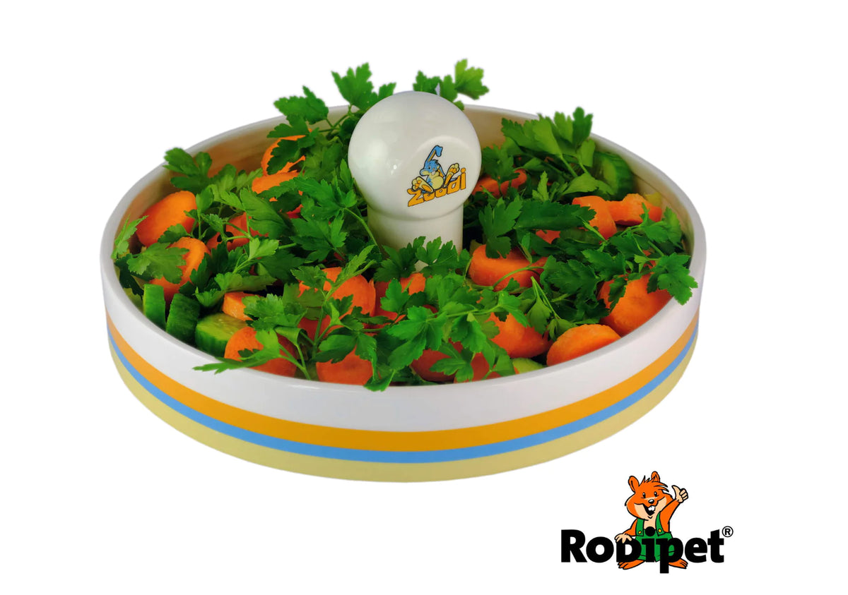 Rodipet ZooDi Glazed Ceramic Bowl for Fresh Veggies – The Burrow